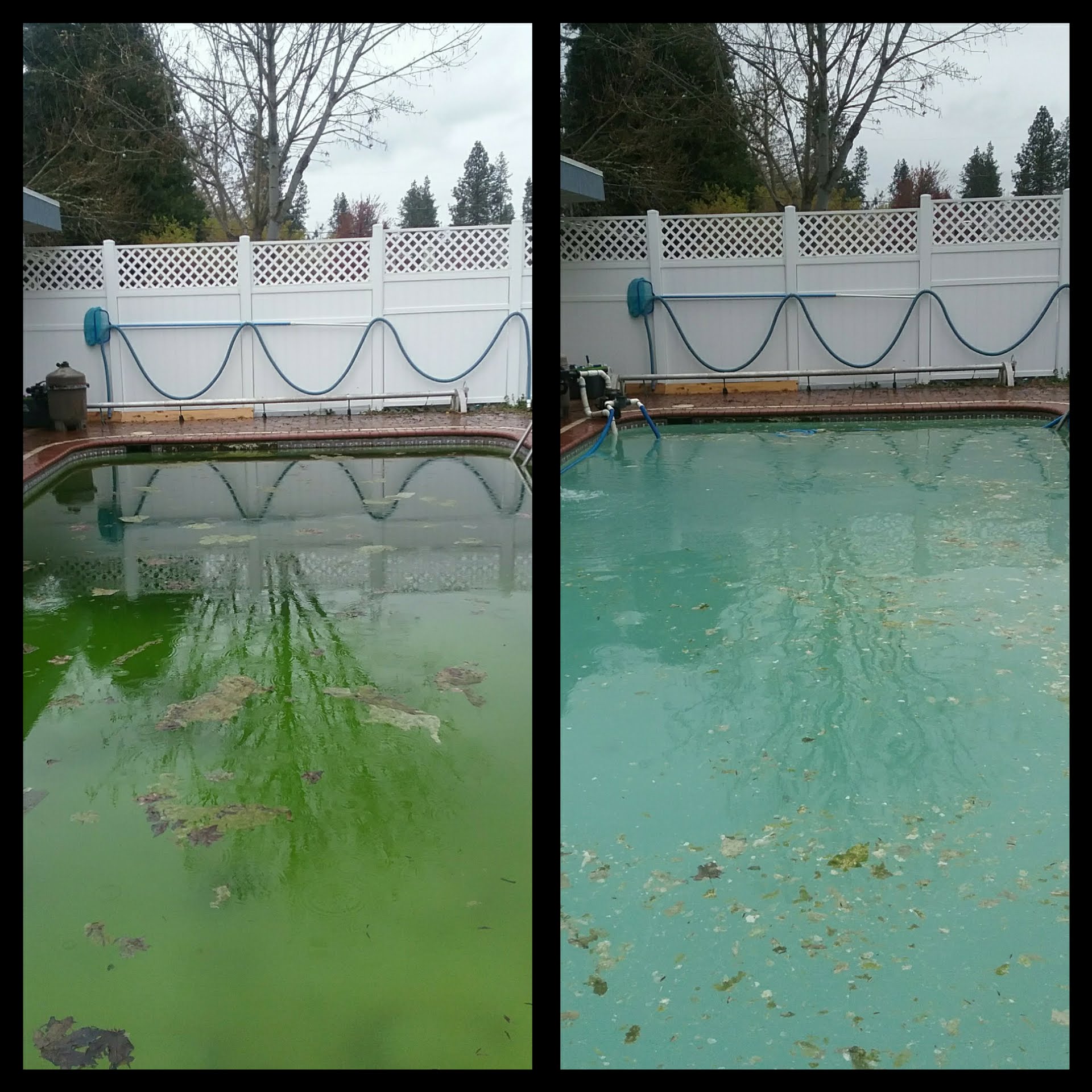 Green to Clean - Outback Pool & Spa